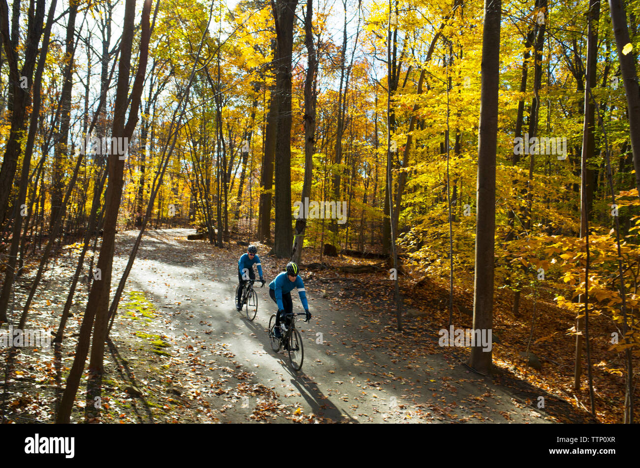 Cycling road trees hi-res stock photography and images - Alamy