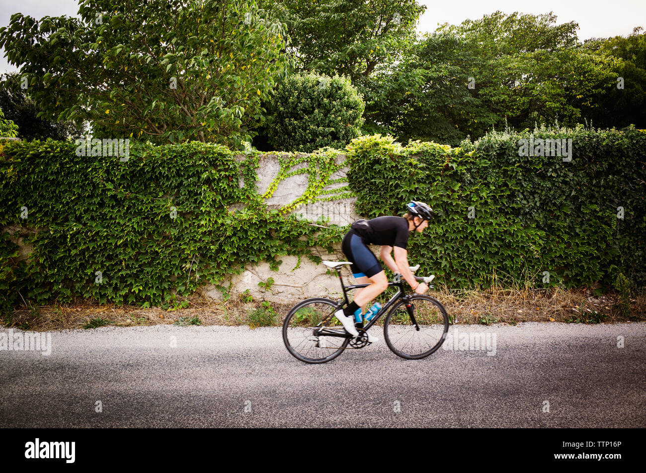 Side view of man cycling on road by ivy covered wall Stock Photo - Alamy