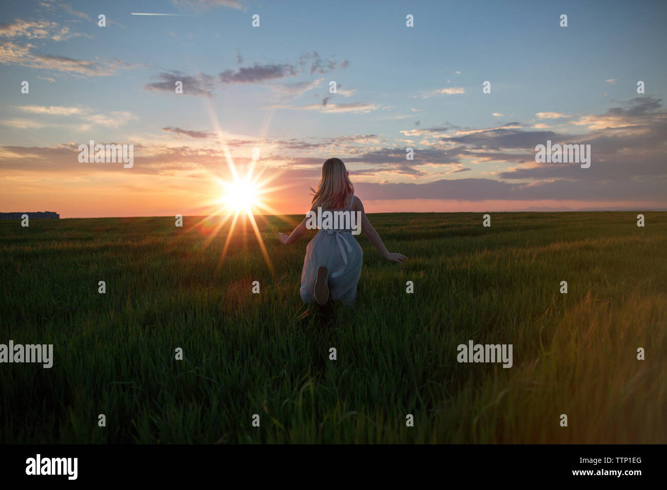 Female Running Back View Full Length High Resolution Stock Photography ...