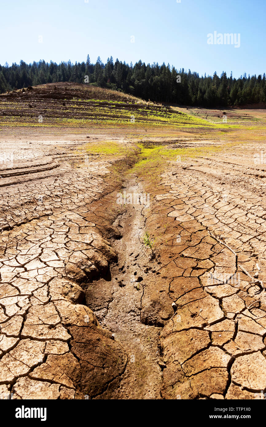 Drought land hi-res stock photography and images - Alamy