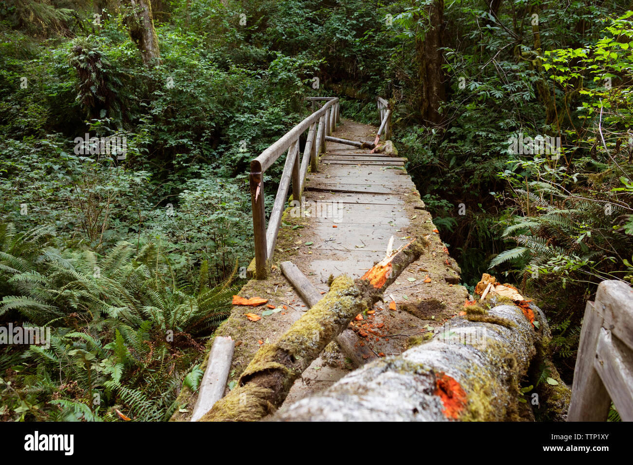 Old damaged bridge hi-res stock photography and images - Alamy