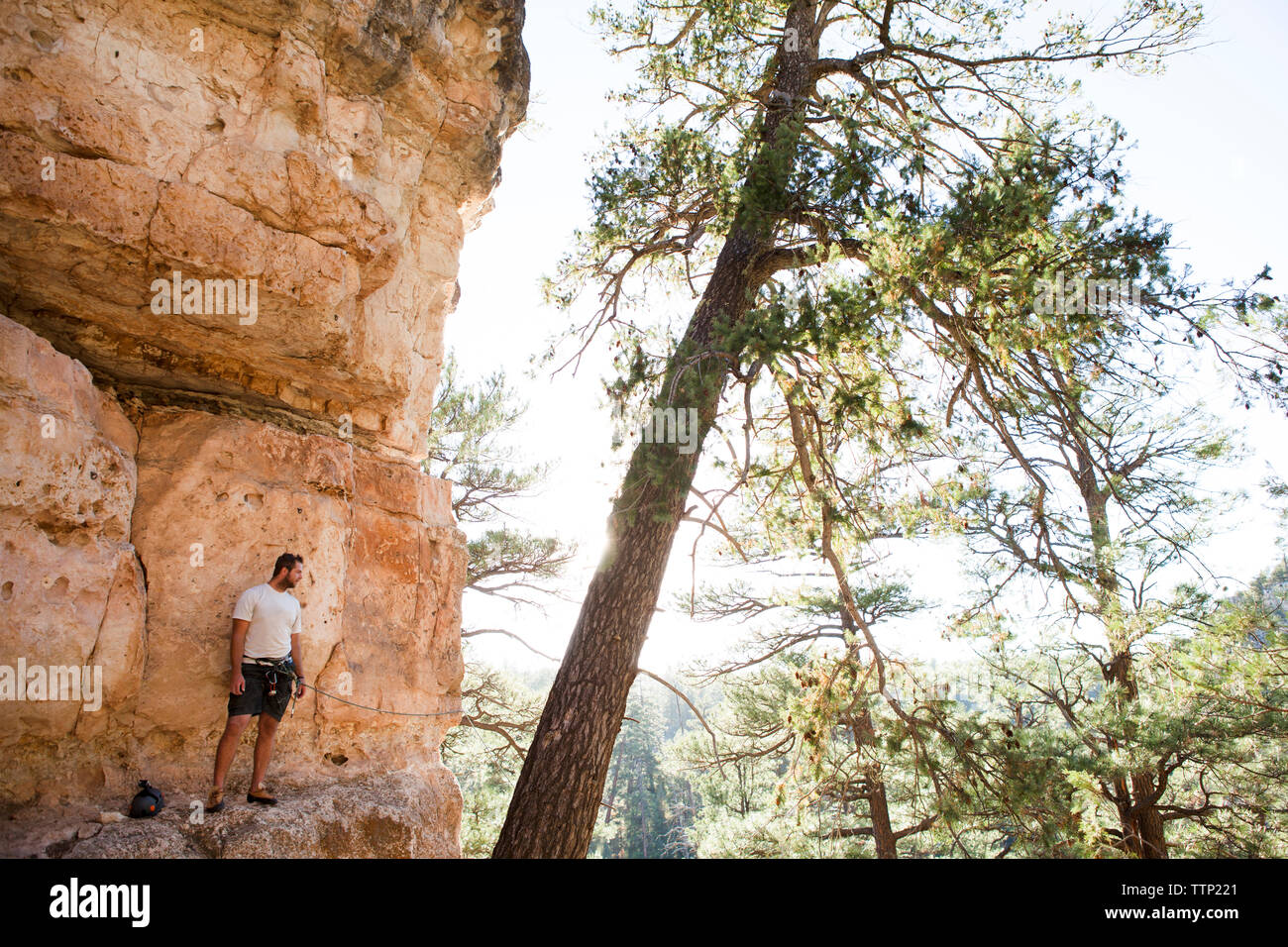 Formation of trees hi-res stock photography and images - Alamy