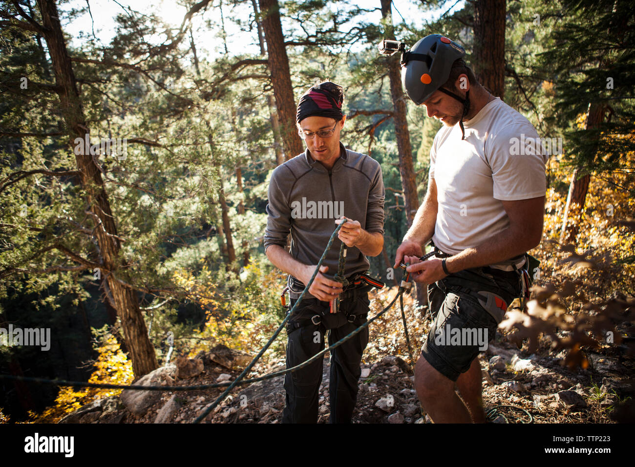 Climbing trees hi-res stock photography and images - Alamy