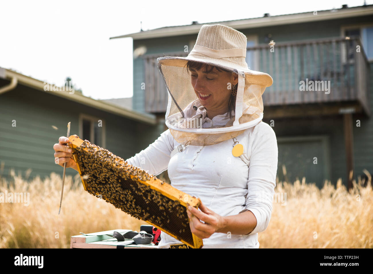 Happy female beekeeper examining honeycomb frame Stock Photo - Alamy