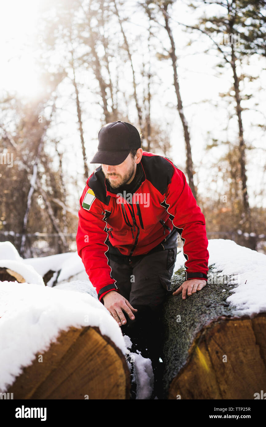 Fallen trees hi-res stock photography and images - Alamy