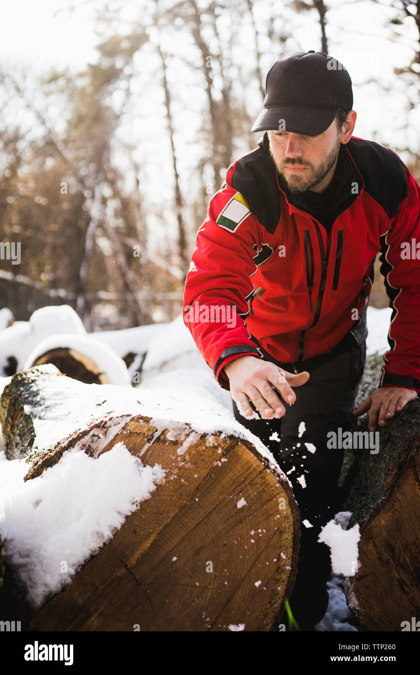 Fallen trees hi-res stock photography and images - Alamy