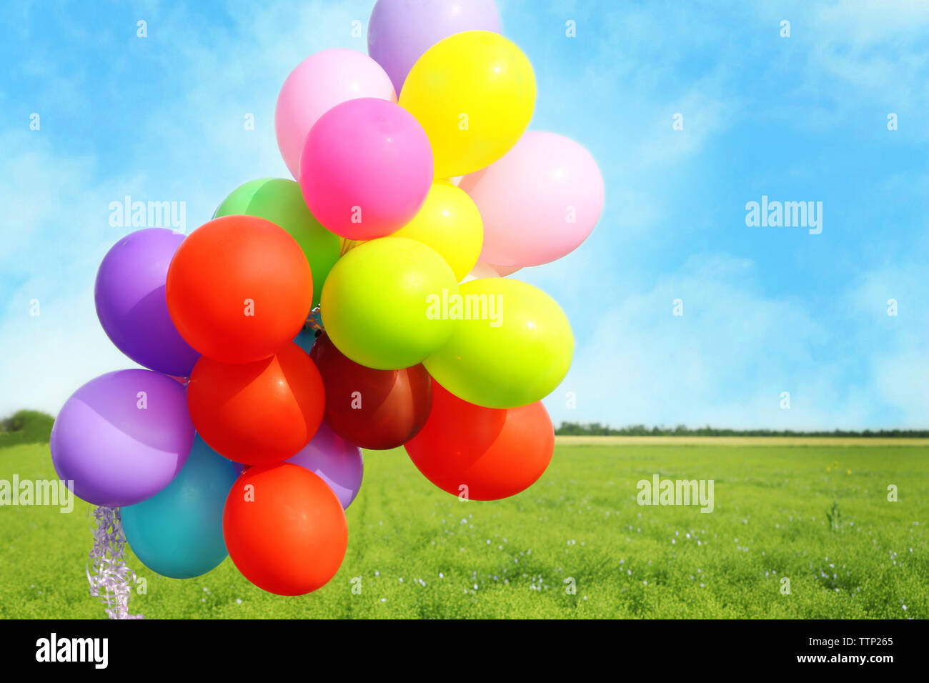Colorful balloons in field on blue sky background Stock Photo - Alamy