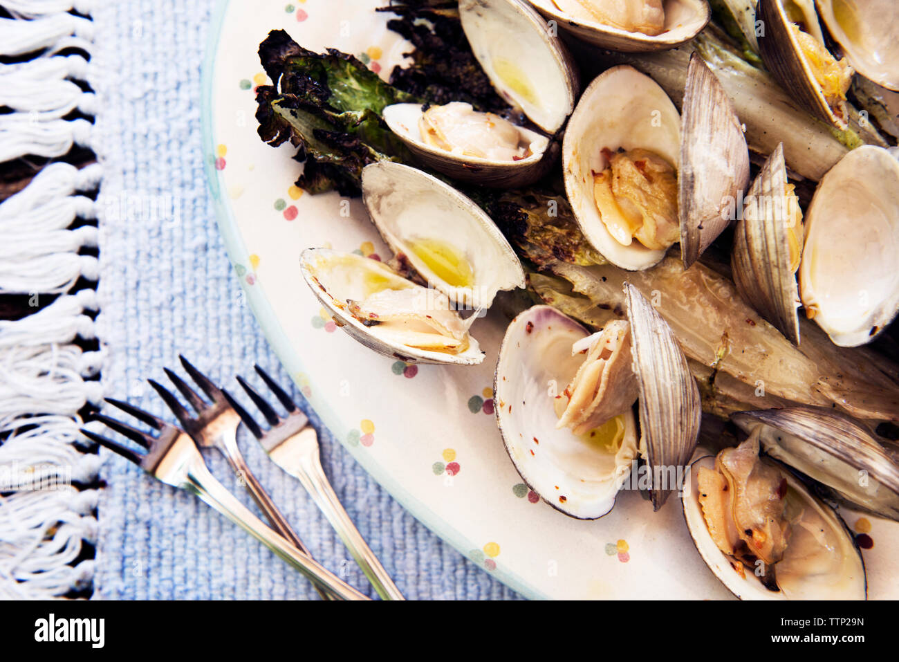 Close-up of clams served in plate on table Stock Photo - Alamy
