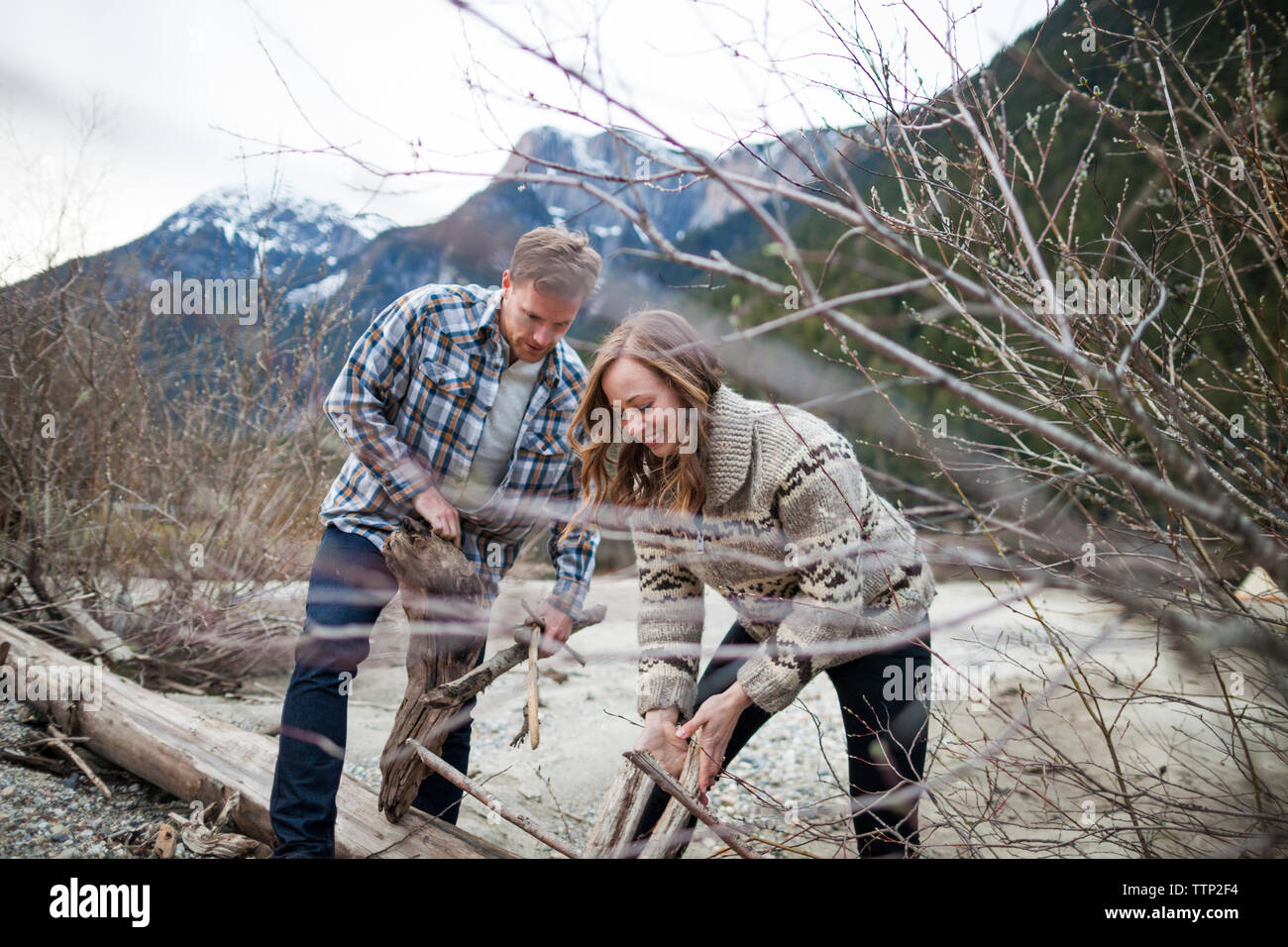 Collecting wood hi-res stock photography and images - Alamy