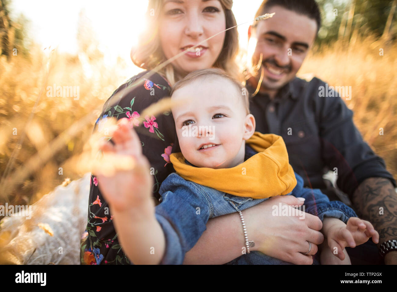 Happy family having picnic on field during sunset Stock Photo - Alamy