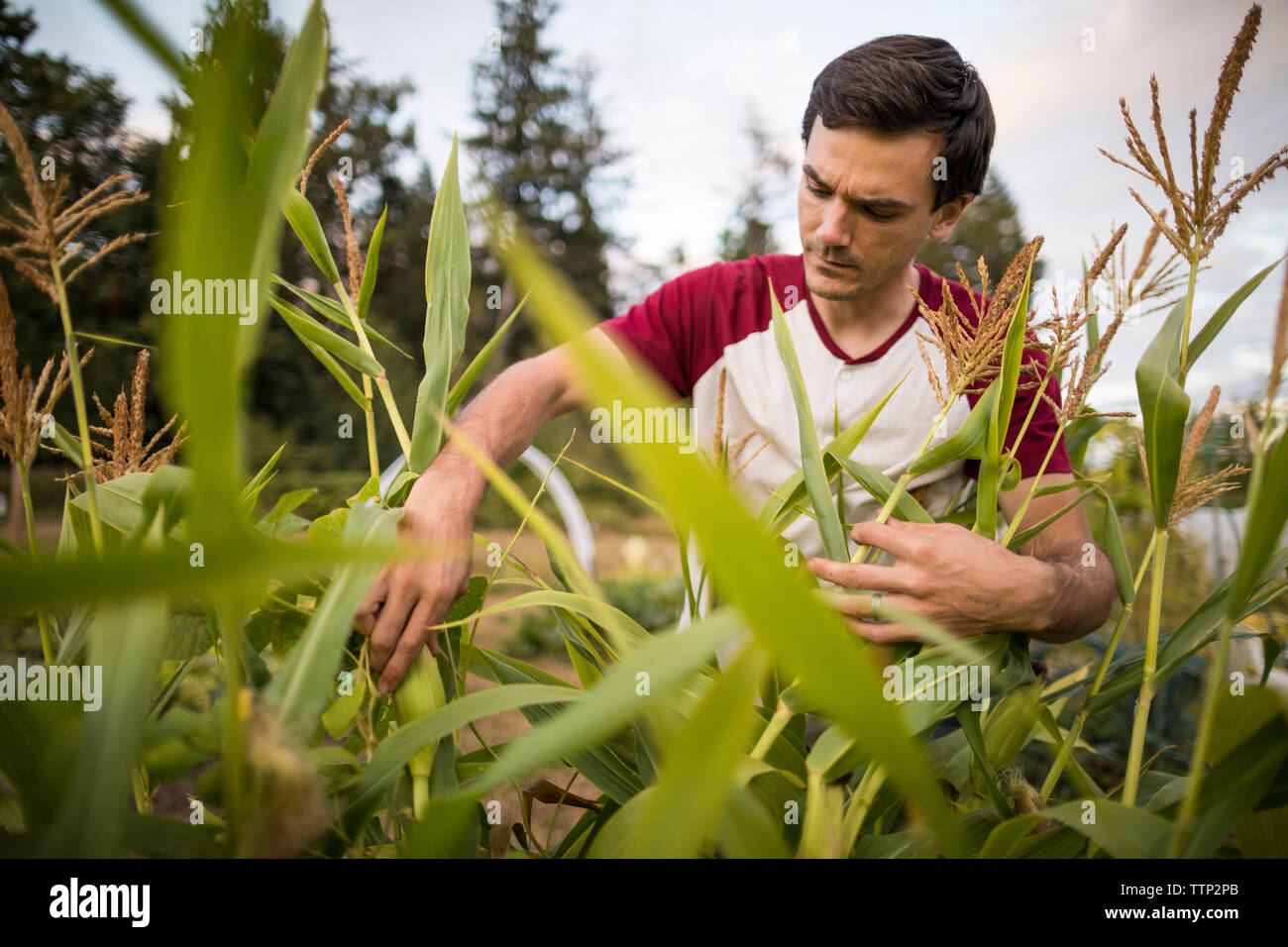 Community man hi-res stock photography and images - Alamy