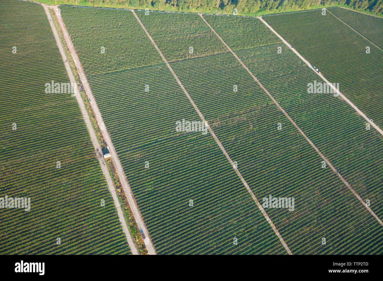 Aerial view of agricultural field Stock Photo - Alamy