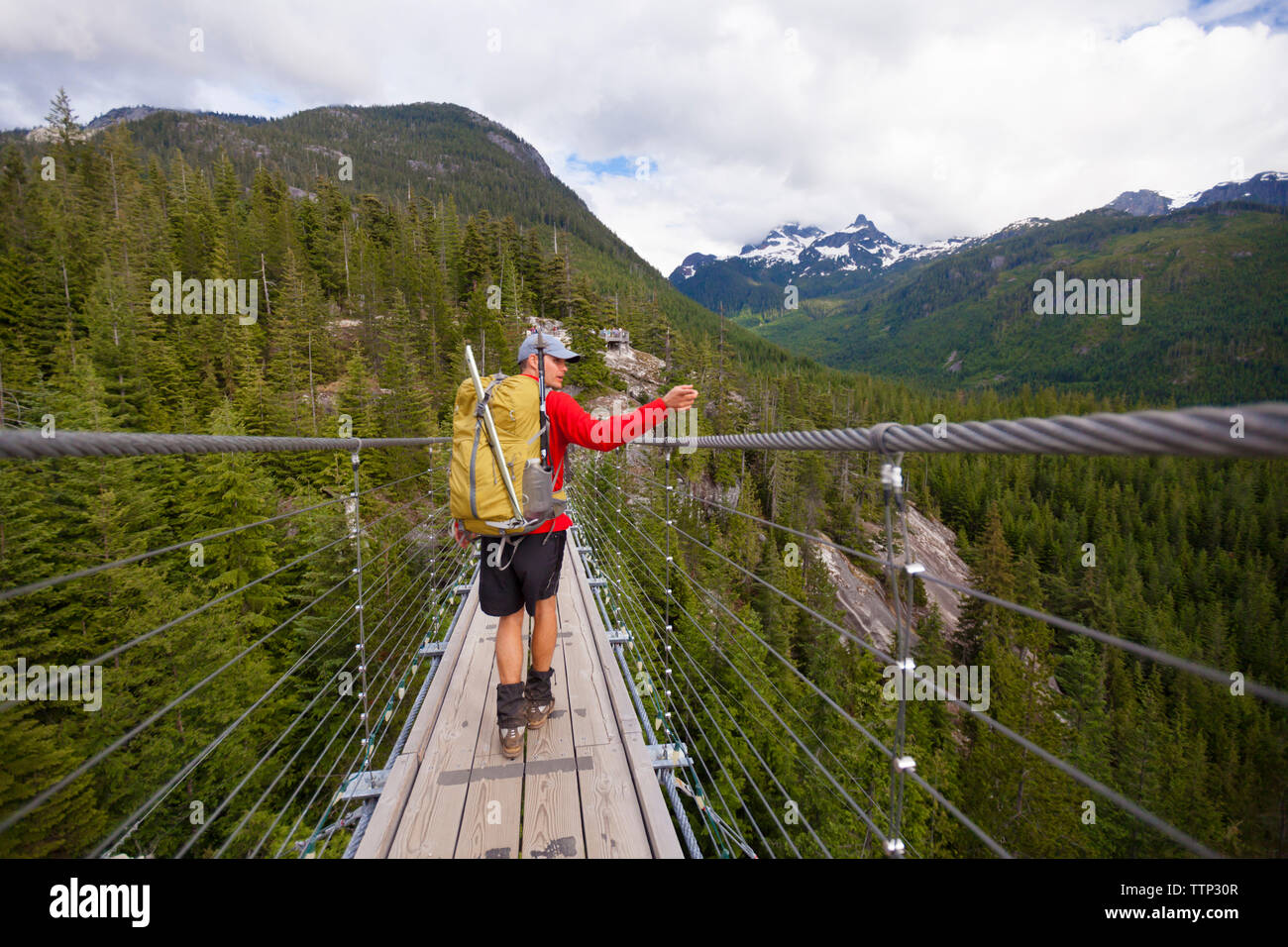 Rear view of hiker with backpack crossing footbridge amidst forest ...