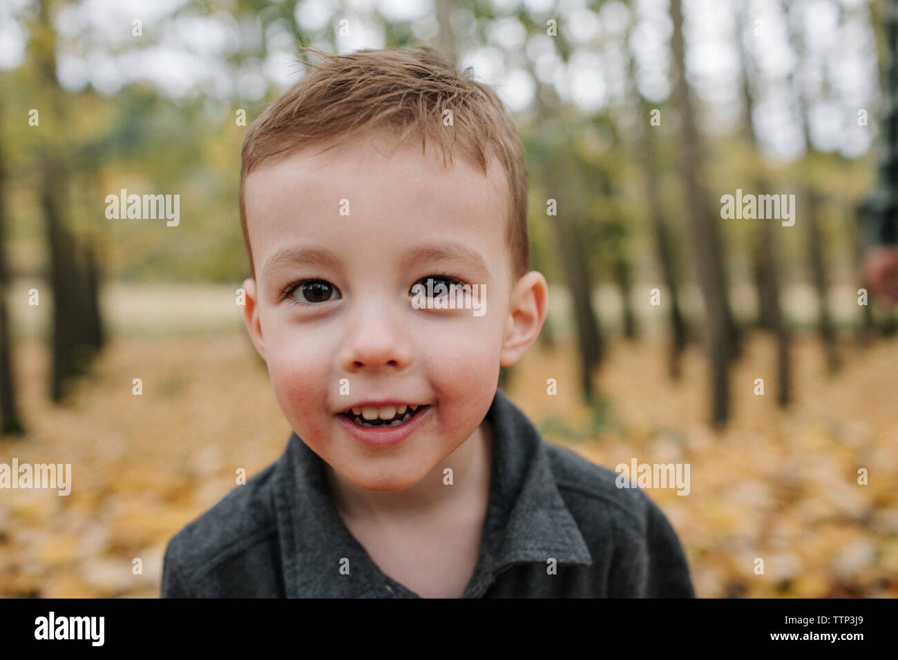 Boy in autumn forest hi-res stock photography and images - Alamy