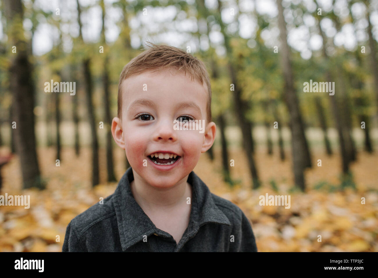 Boy in autumn forest hi-res stock photography and images - Alamy