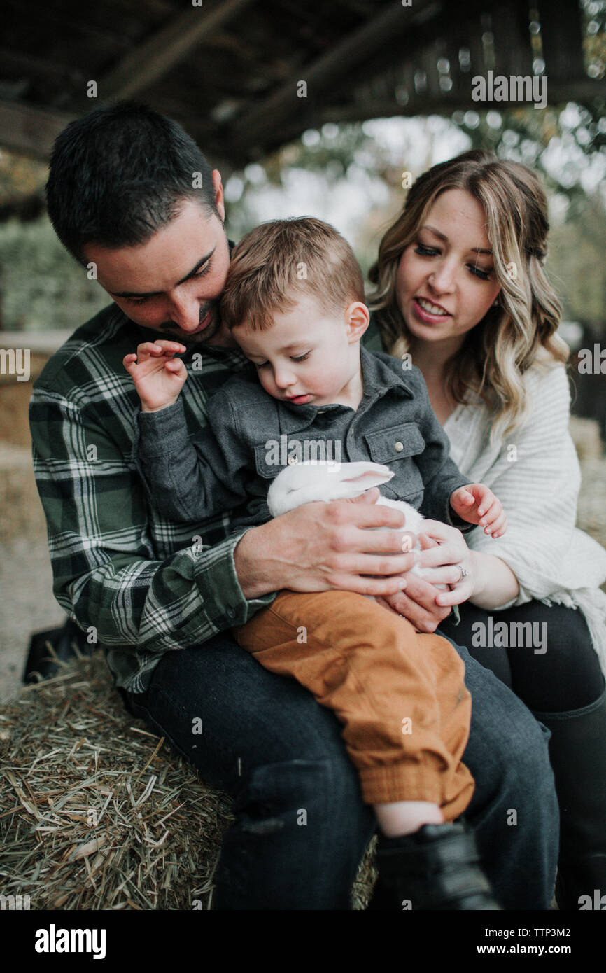 Cute son with rabbit sitting by parents at farm Stock Photo - Alamy