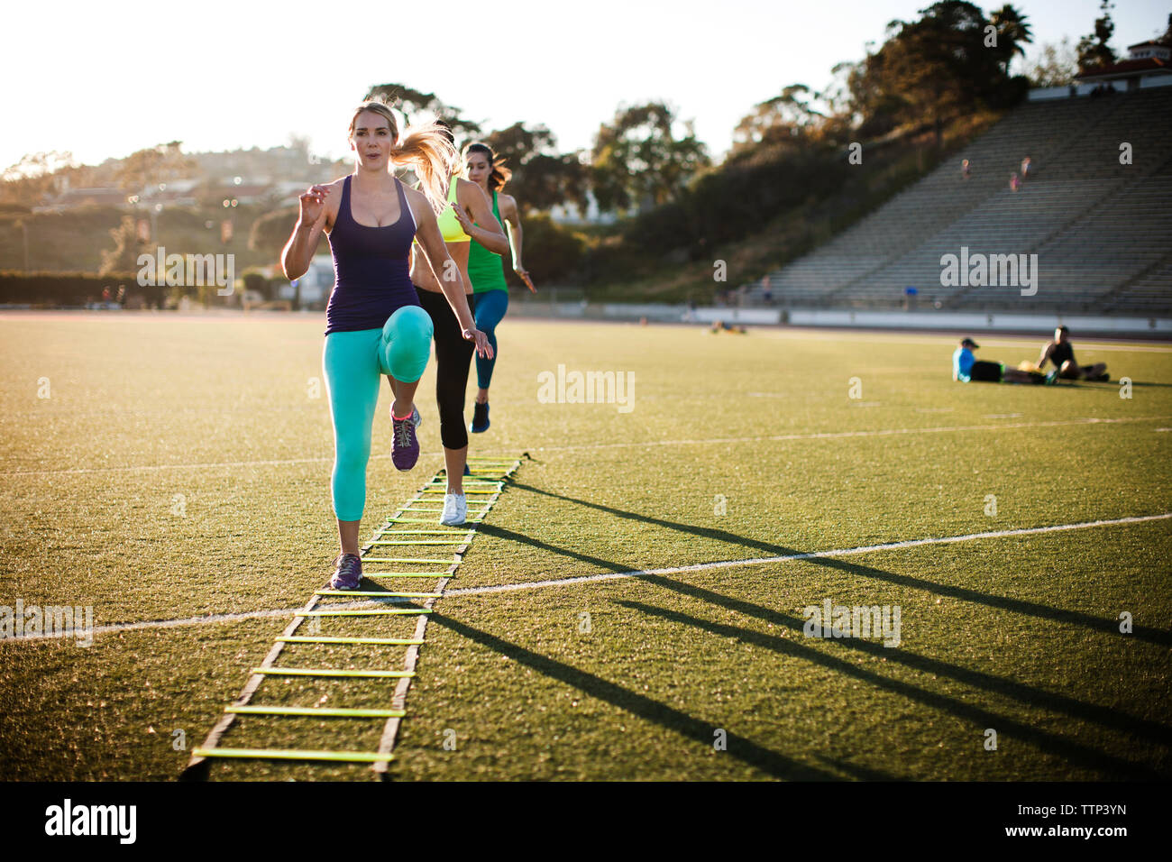 Female athletes training with agility ladder on sports field Stock ...