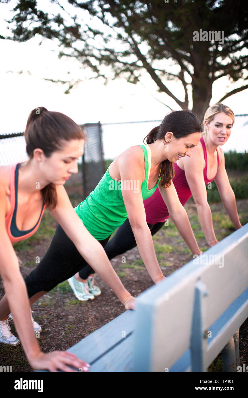 Female athletes doing push-ups on park bench Stock Photo - Alamy