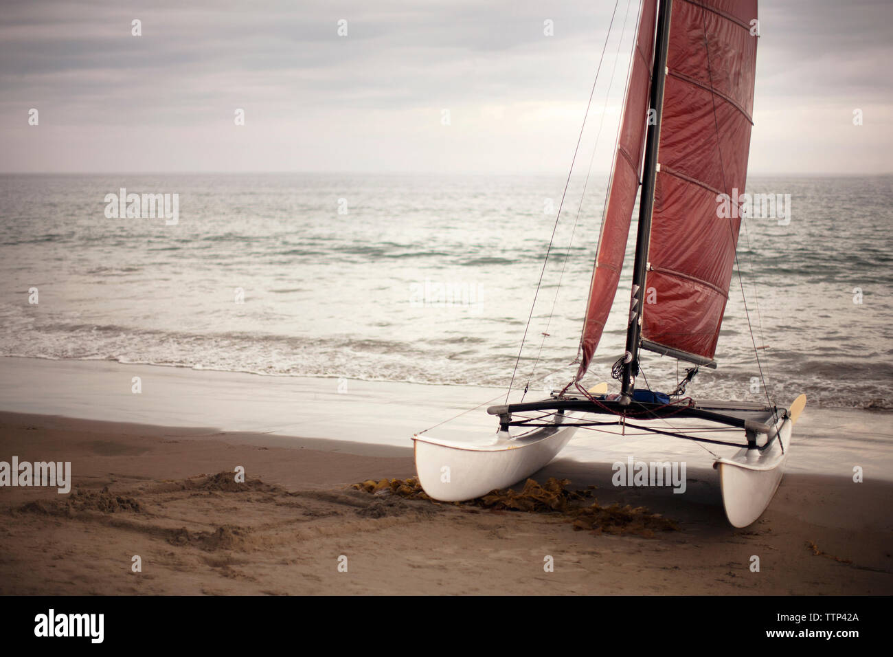 Windsurfing board on sea shore at beach against cloudy sky Stock Photo ...