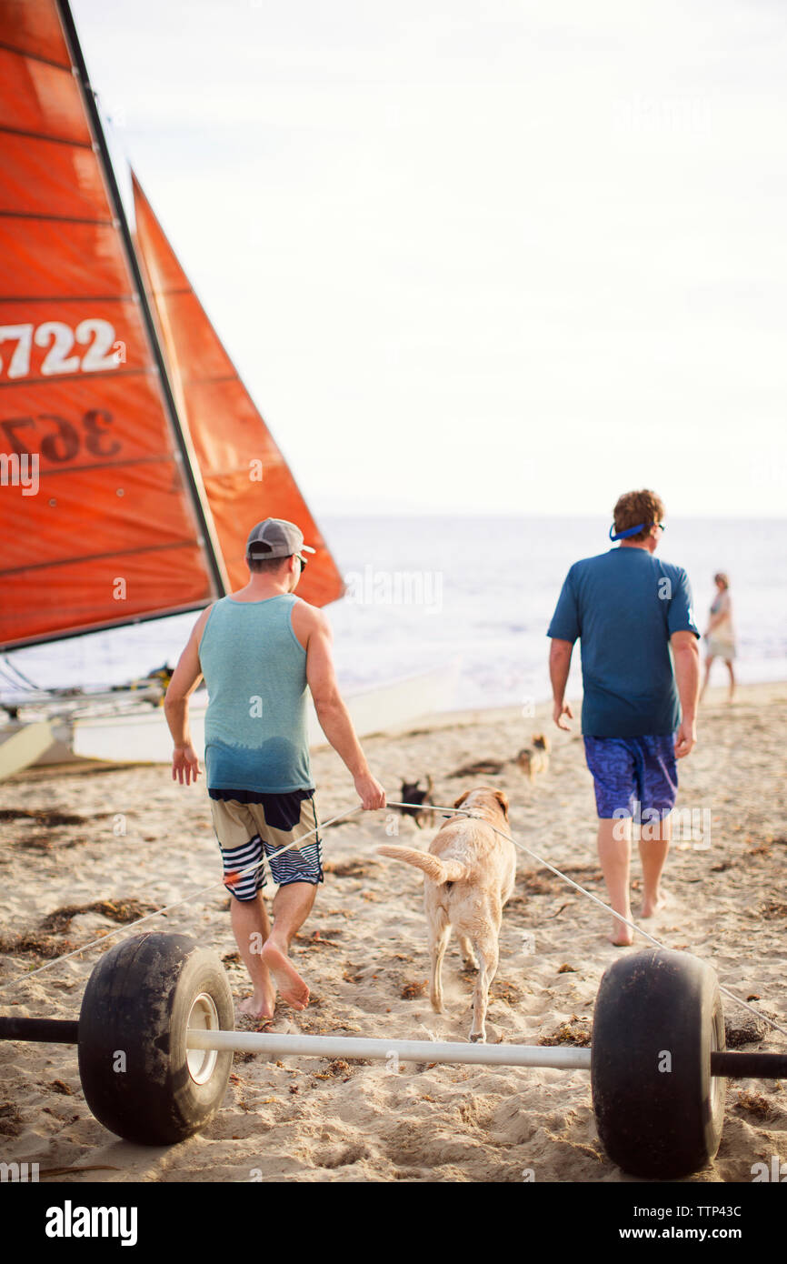 Rear view of man pulling wheels while walking with father and Labrador ...
