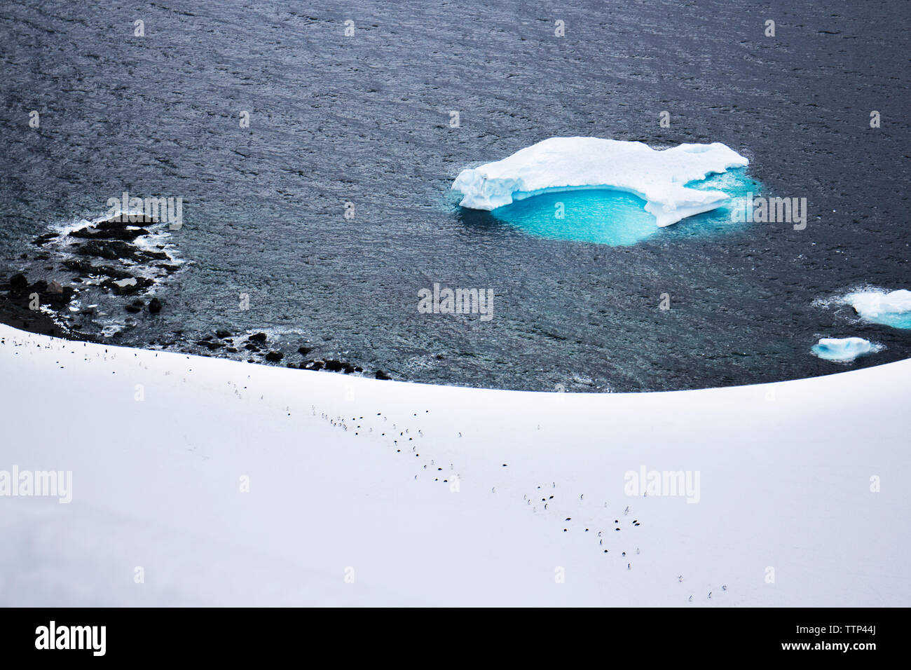 Seascape with floating iceberg hi-res stock photography and images - Alamy