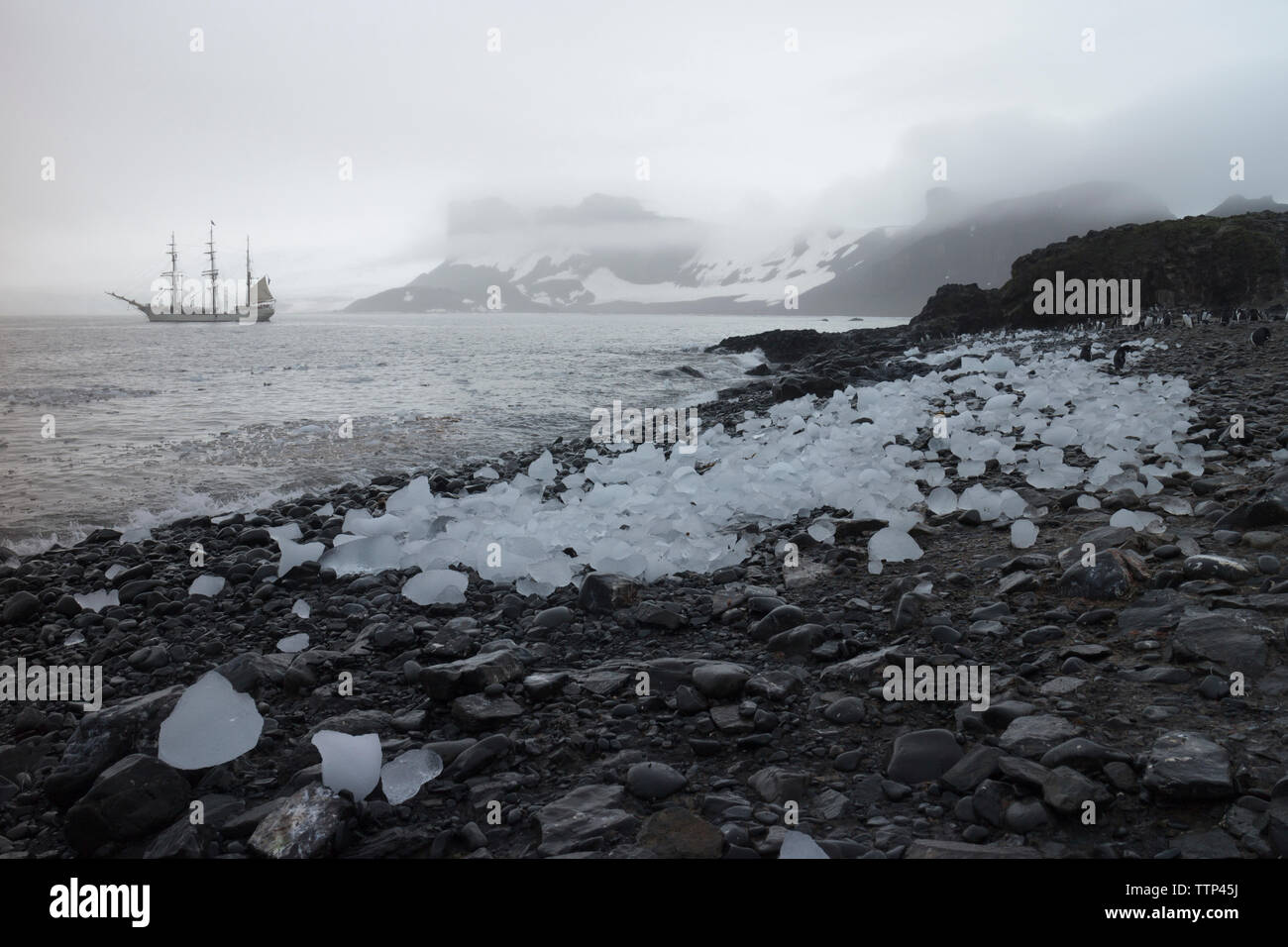 Sailing Ship In Fog High Resolution Stock Photography and Images - Alamy