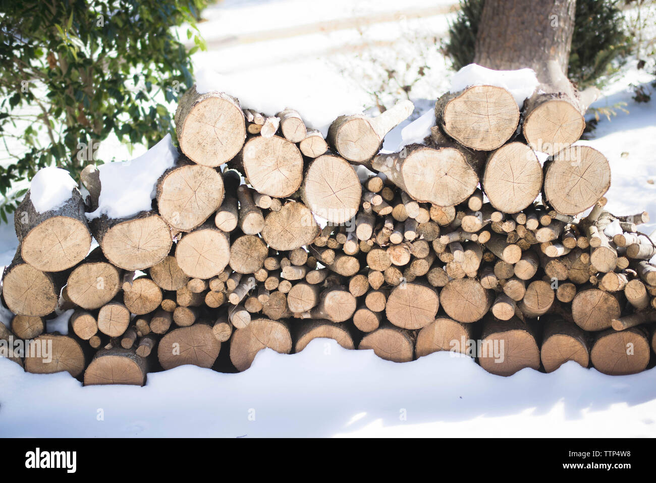Logs on snow hi-res stock photography and images - Alamy
