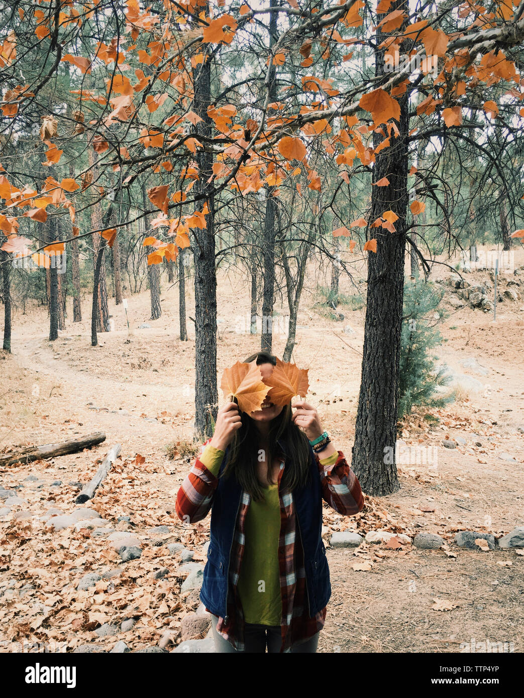 Woman autumn leaves hi-res stock photography and images - Alamy