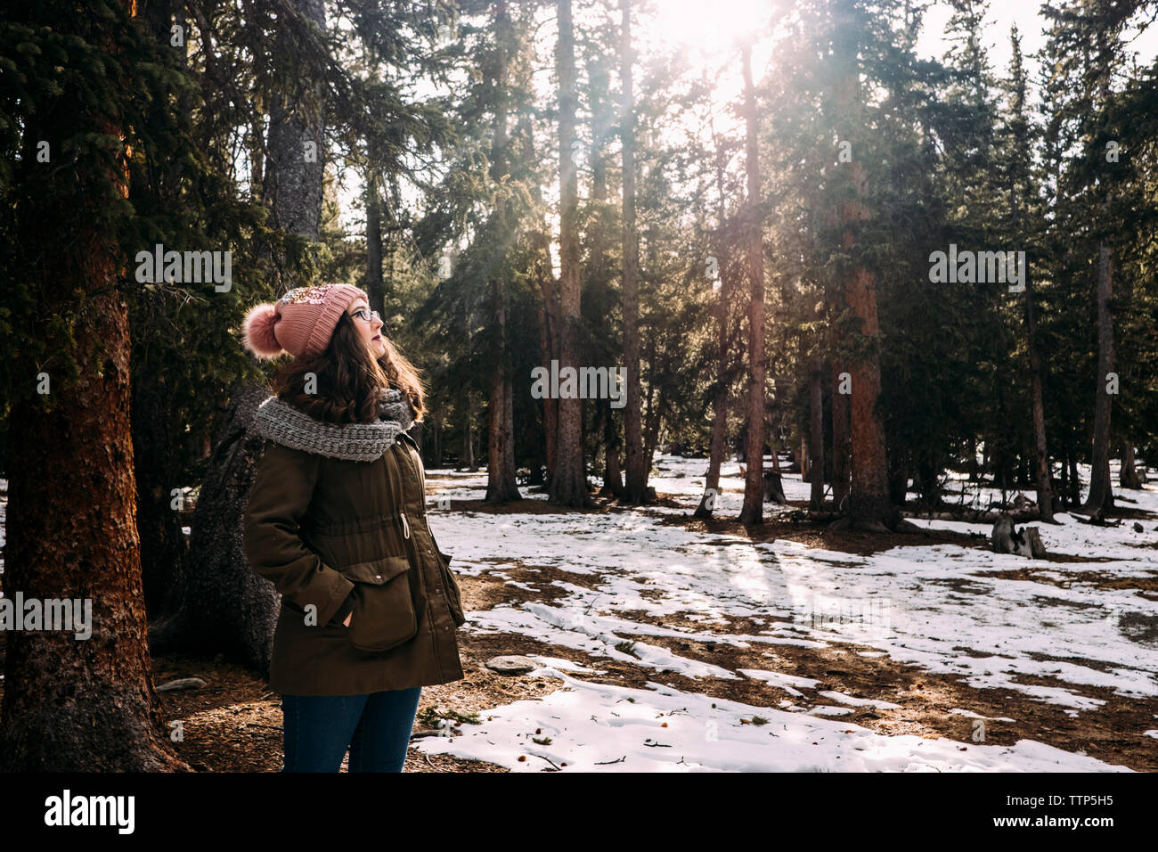 Warm winter woodland hi-res stock photography and images - Alamy