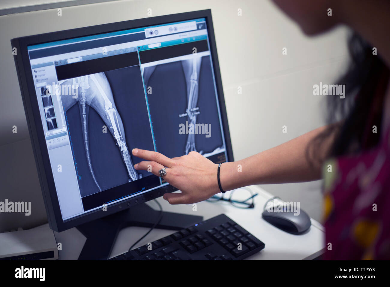 Animal computer monitor hi-res stock photography and images - Alamy