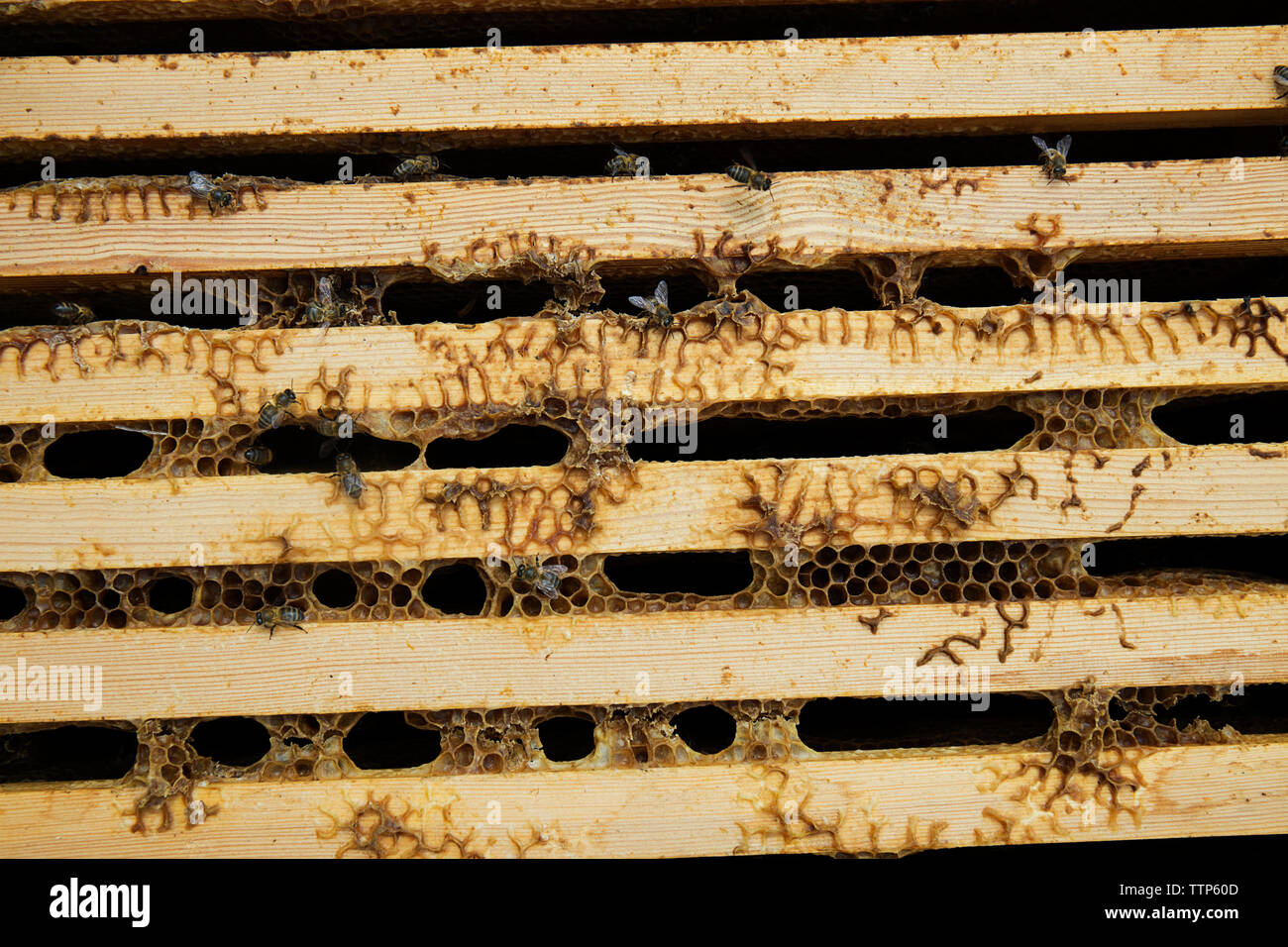 Large Beehive High Resolution Stock Photography and Images - Alamy