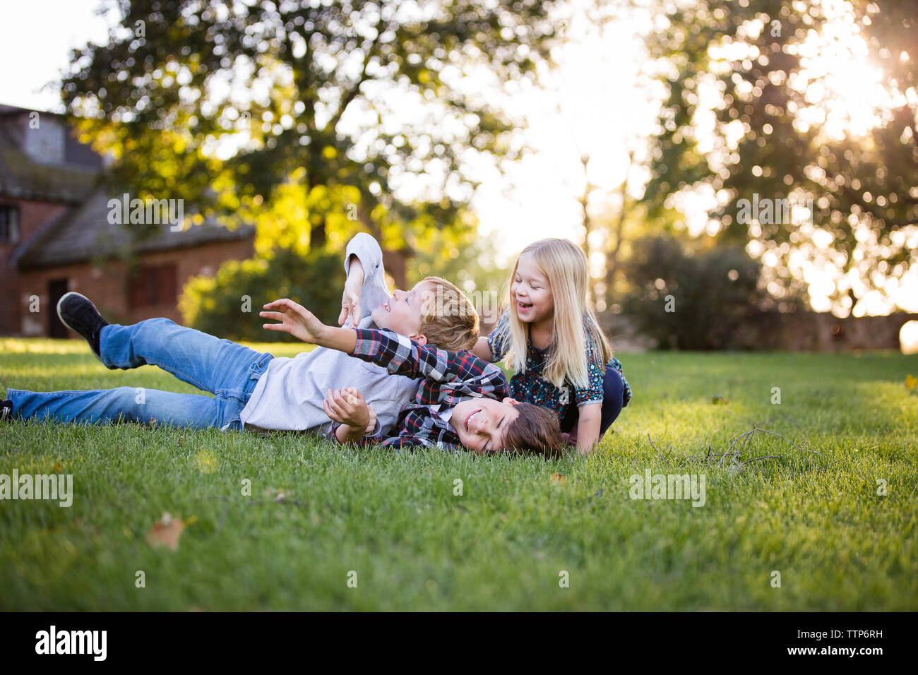 Roughhousing High Resolution Stock Photography and Images - Alamy