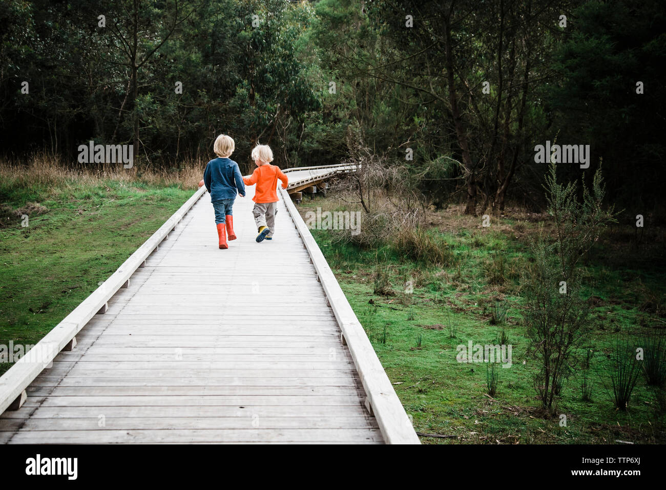 Rear view of brothers walking on boardwalk at field Stock Photo - Alamy