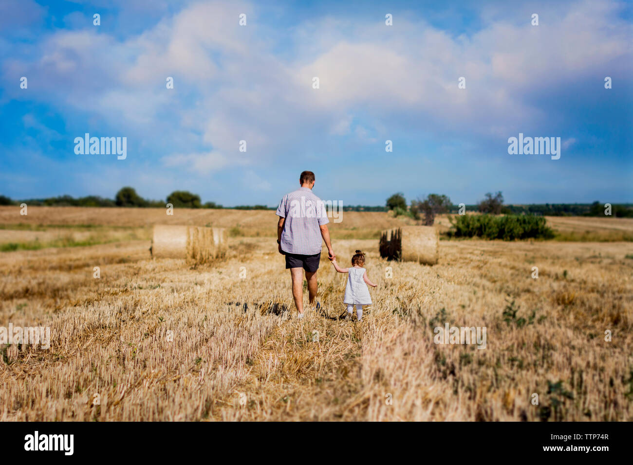 Father and daughter walk in field of straw bales holding hands Stock ...