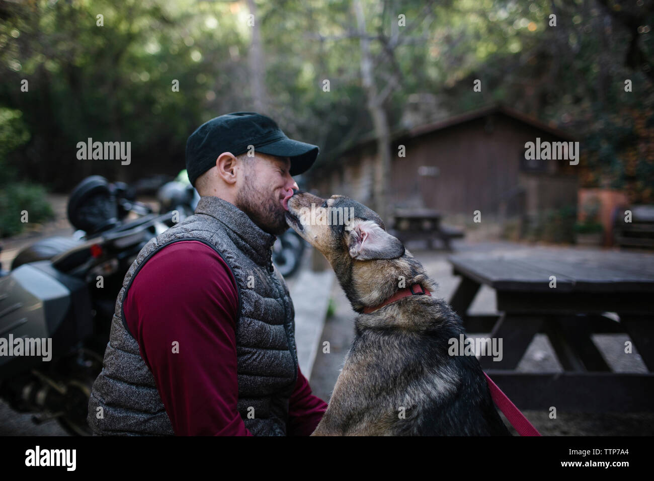 Pet licking face hi-res stock photography and images - Alamy