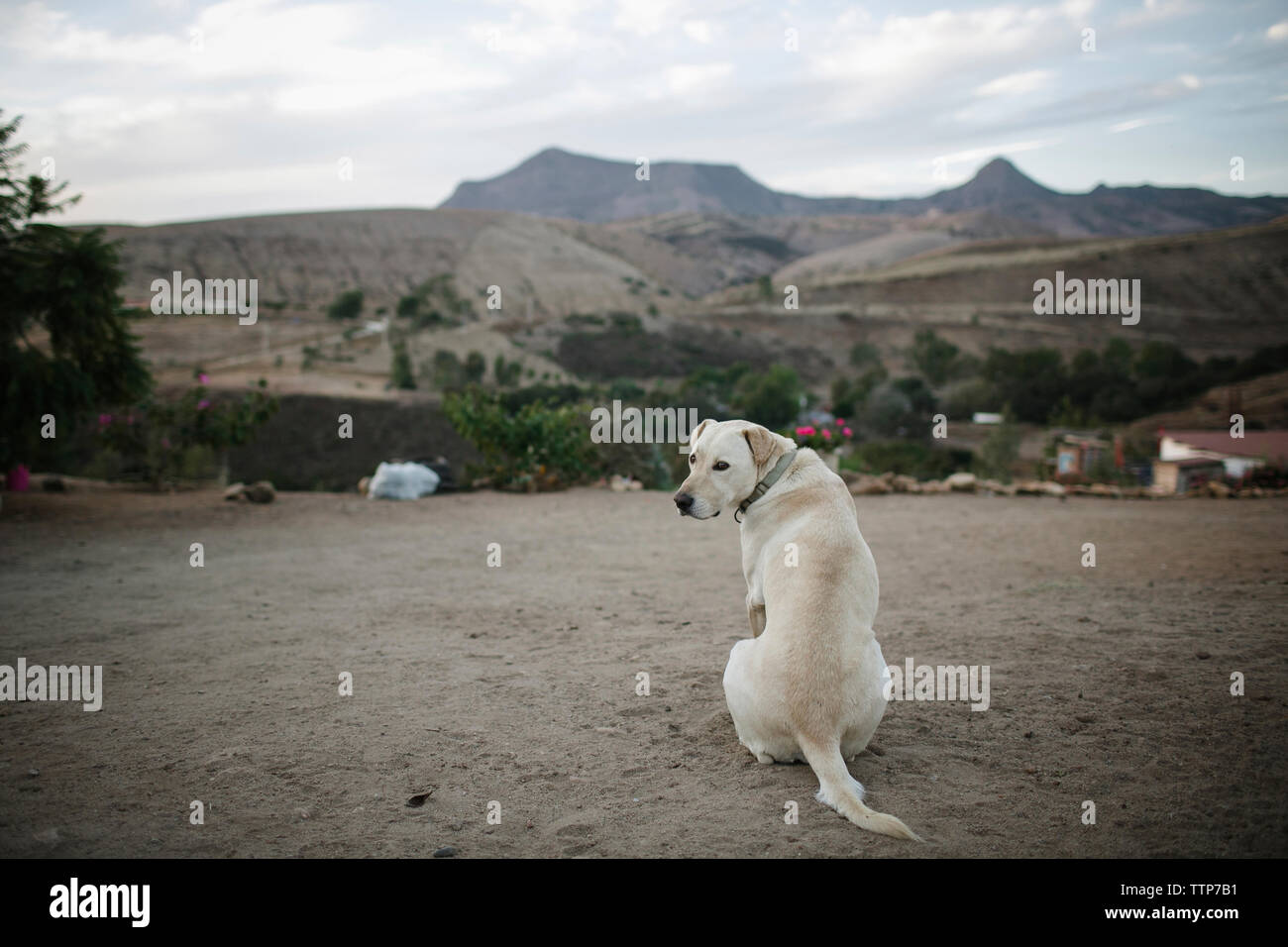 Sitting on ground rear view hi-res stock photography and images - Alamy