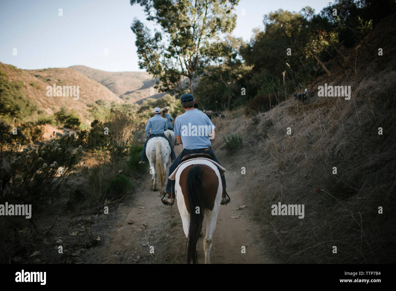 Rear view of friends horseback riding on mountain Stock Photo - Alamy