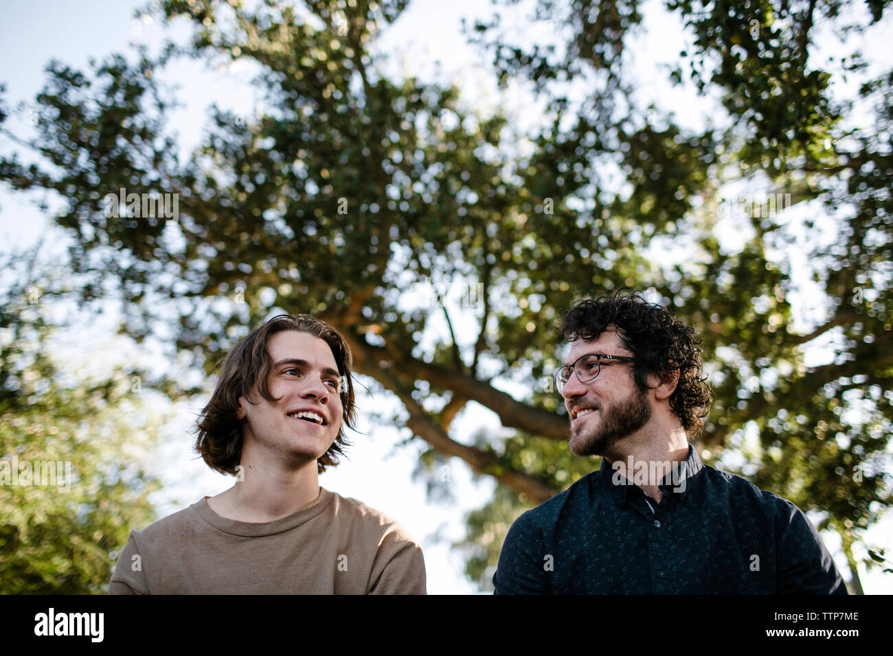 Talking with trees hi-res stock photography and images - Alamy