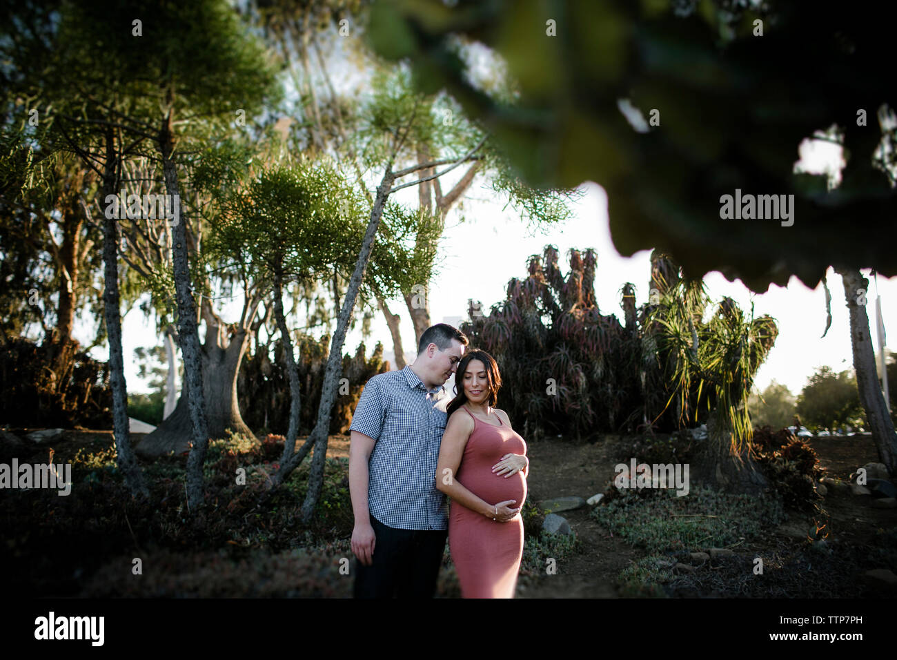 Romantic couple standing in park during sunset Stock Photo - Alamy