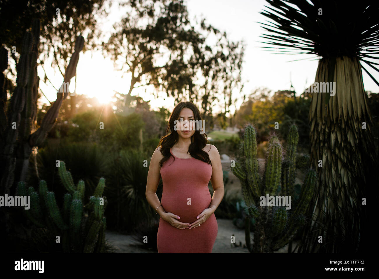 Portrait of pregnant woman with hands on stomach standing in park ...
