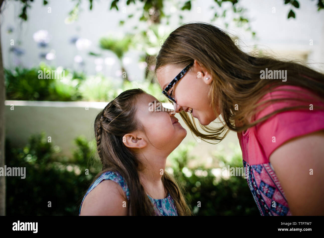 Side view of playful sisters rubbing noses at park Stock Photo - Alamy