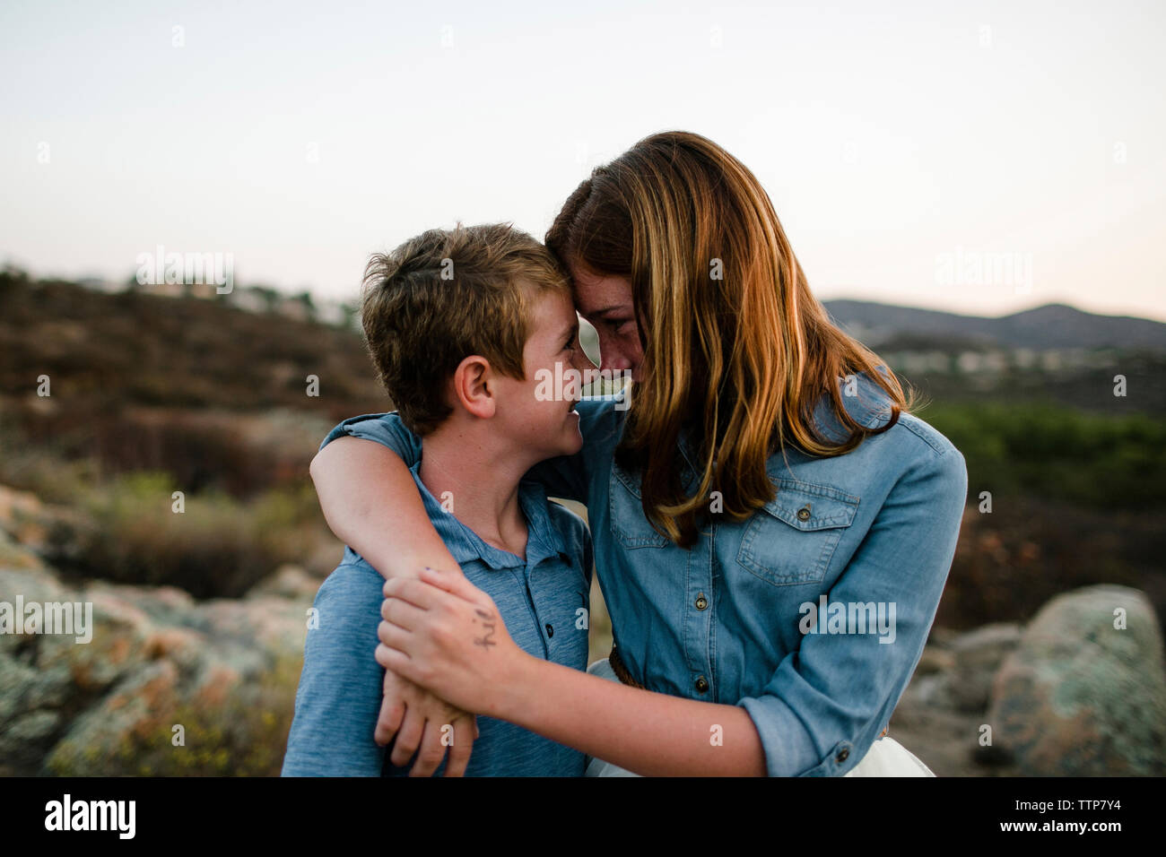 Playful siblings rubbing noses while standing on field during sunset Stock Photo - Alamy