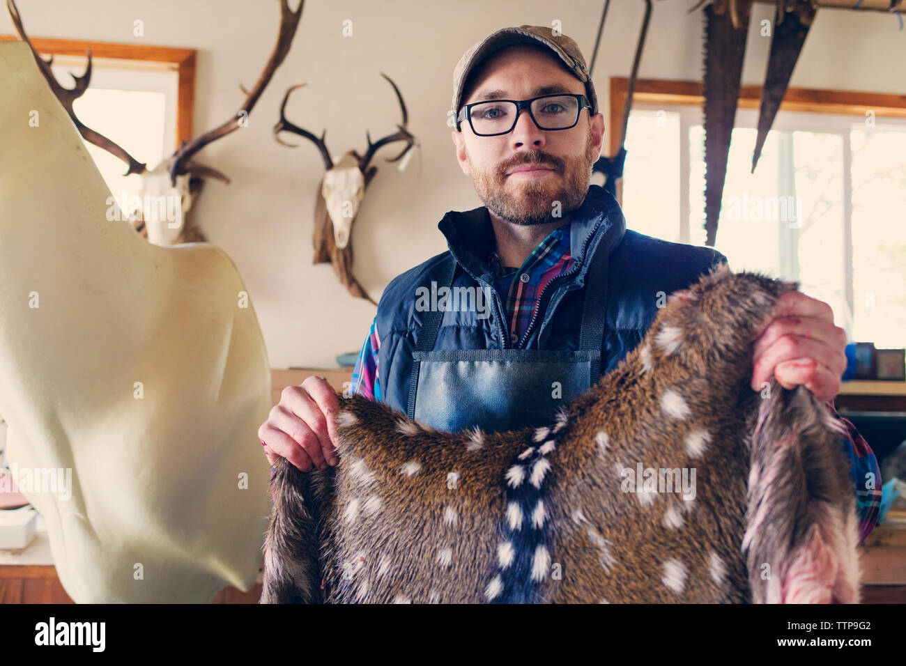 Portrait of male taxidermist holding animal skin in workshop Stock ...