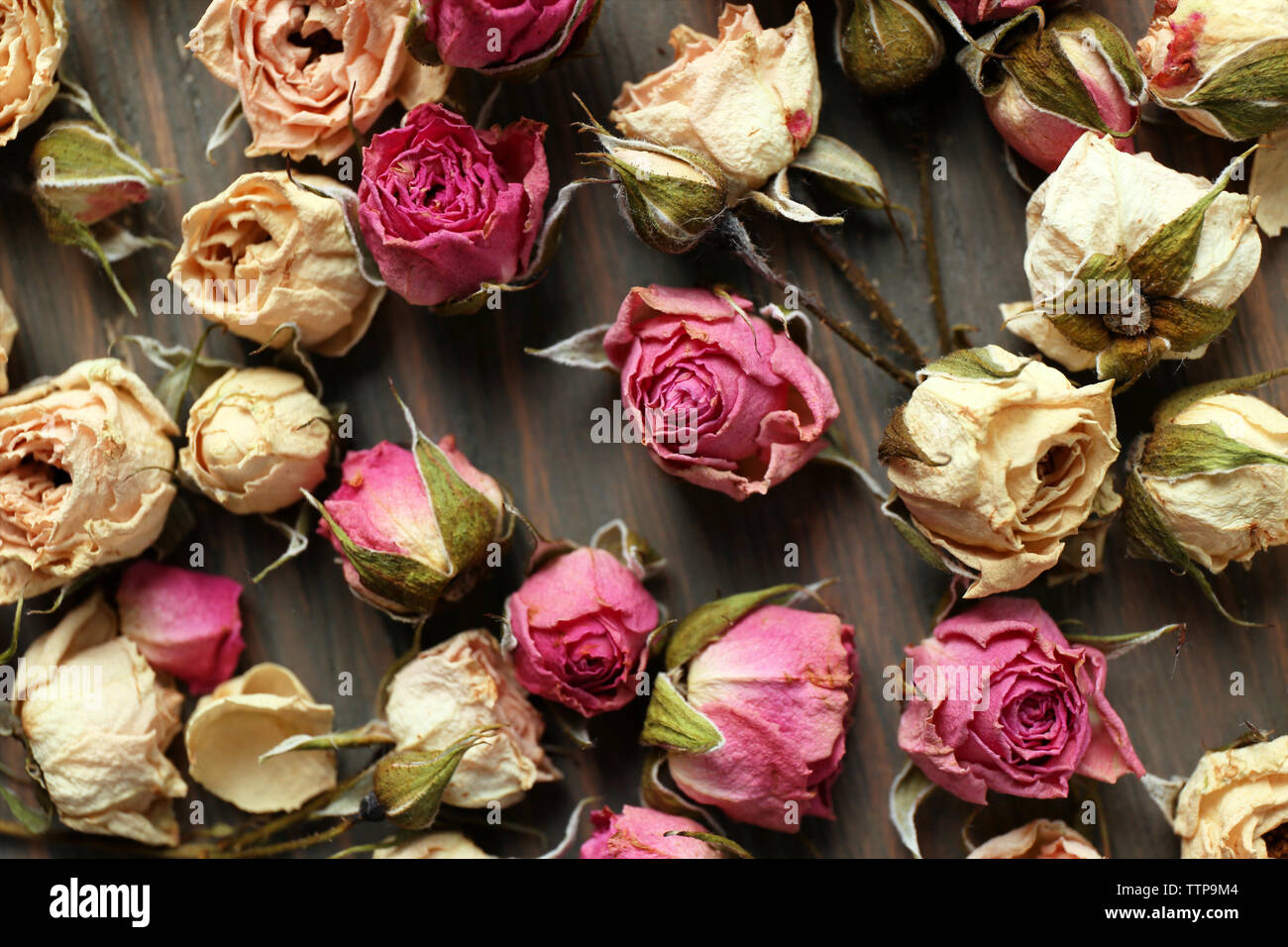 Dried rose buds, closeup Stock Photo - Alamy