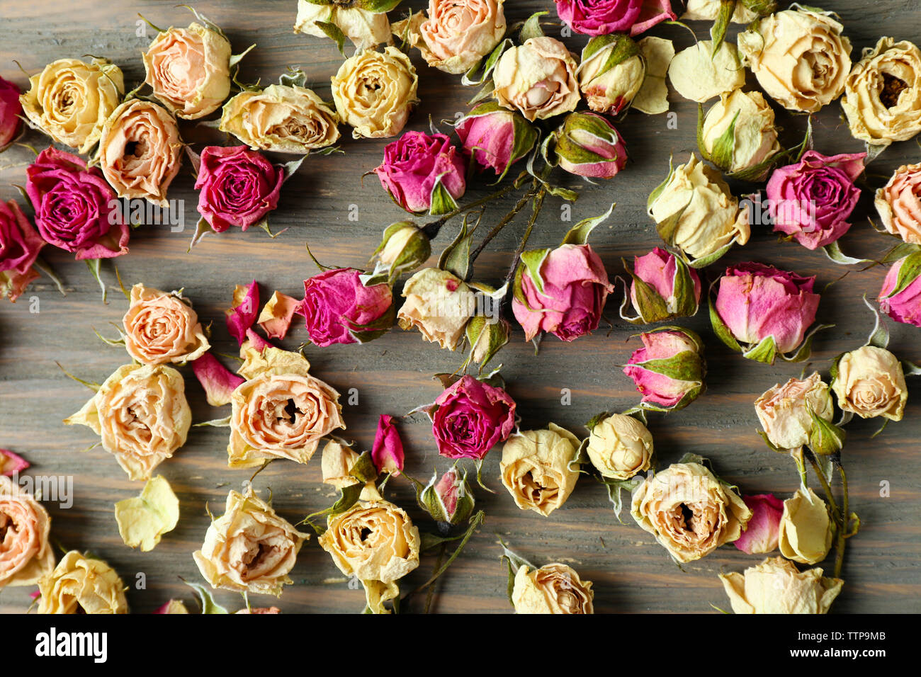 Dried rose buds, closeup Stock Photo - Alamy
