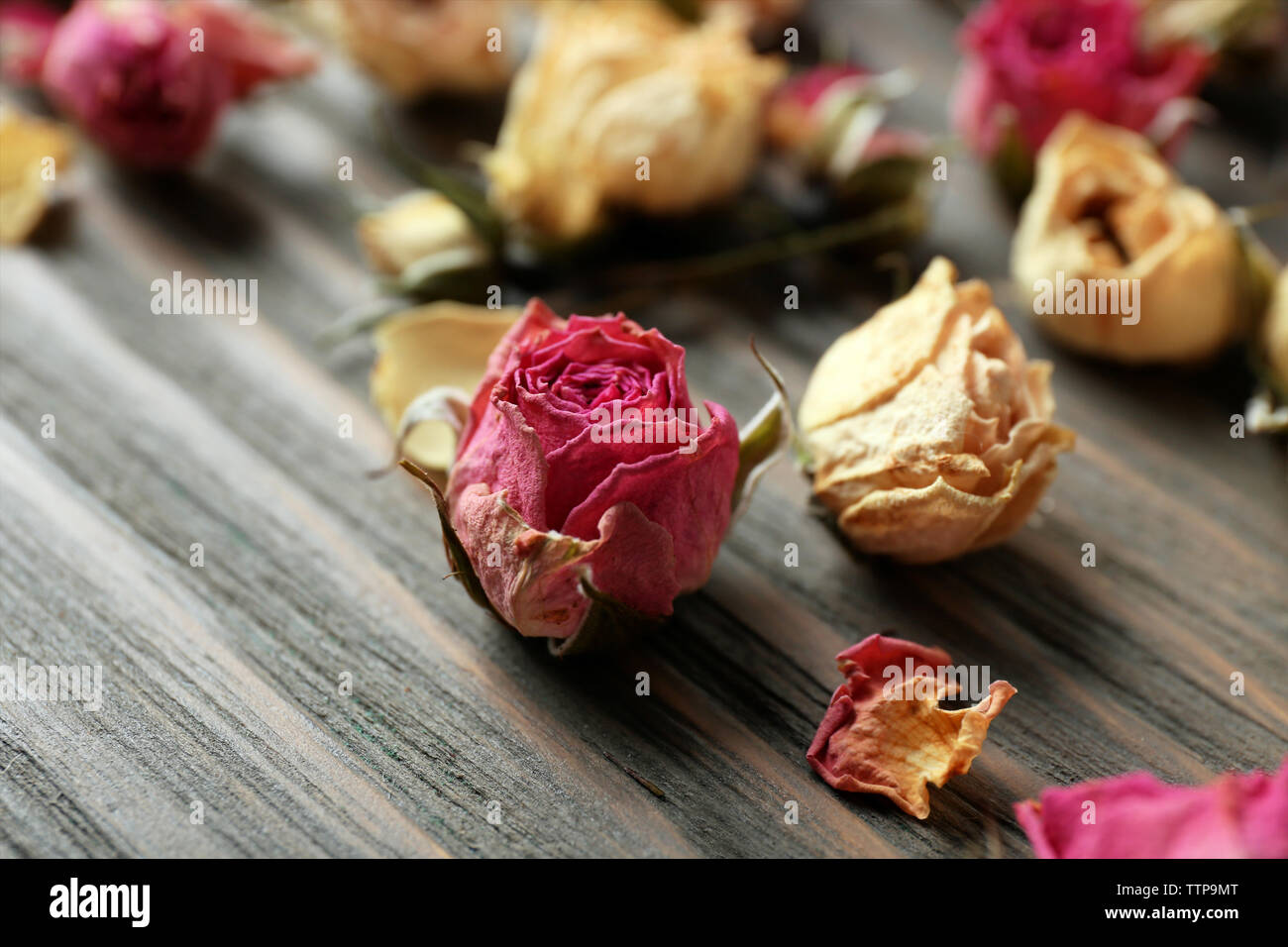 Dried rose buds, closeup Stock Photo - Alamy
