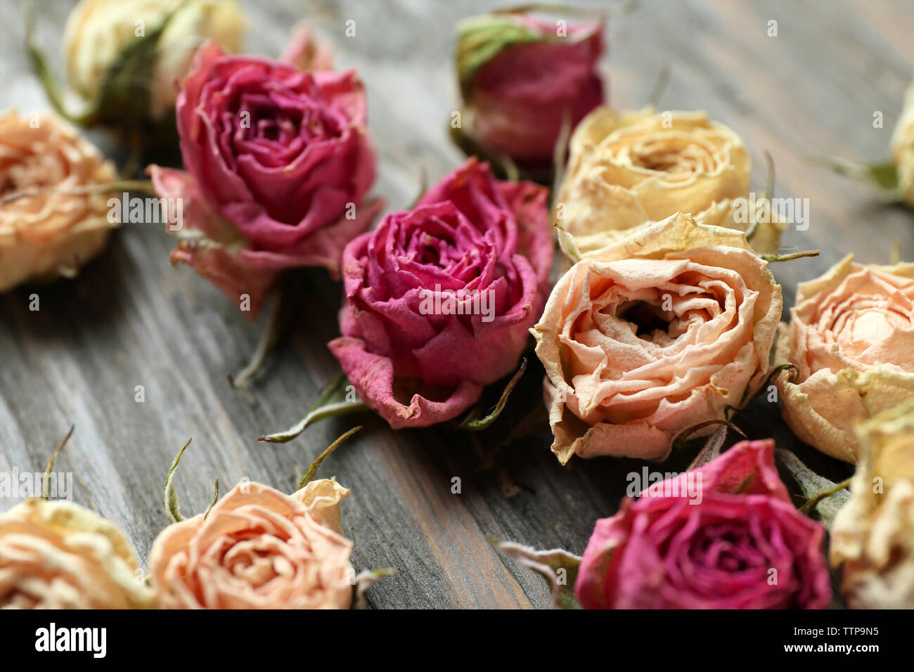 Dried rose buds, closeup Stock Photo - Alamy