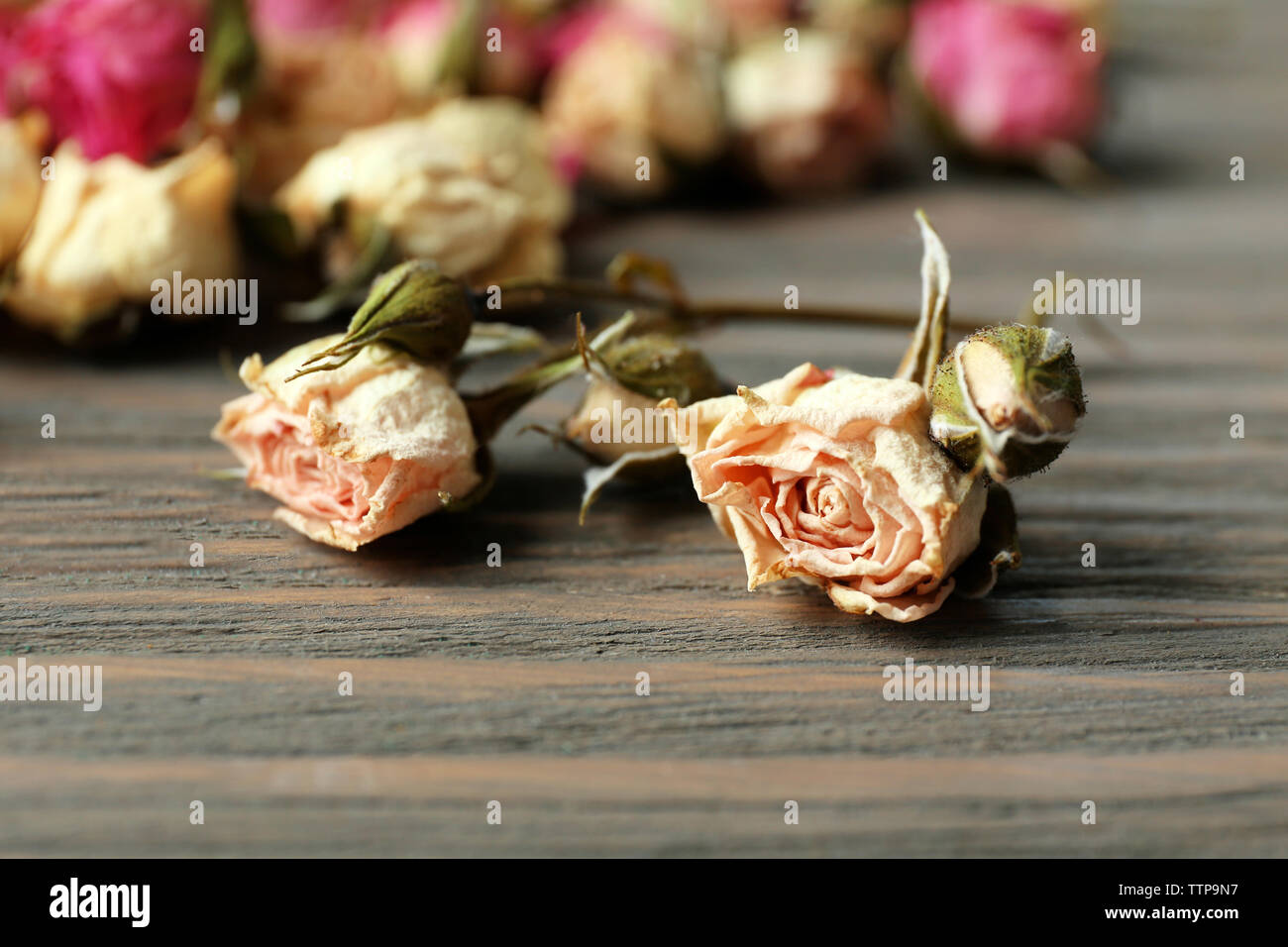 Dried rose buds, closeup Stock Photo - Alamy