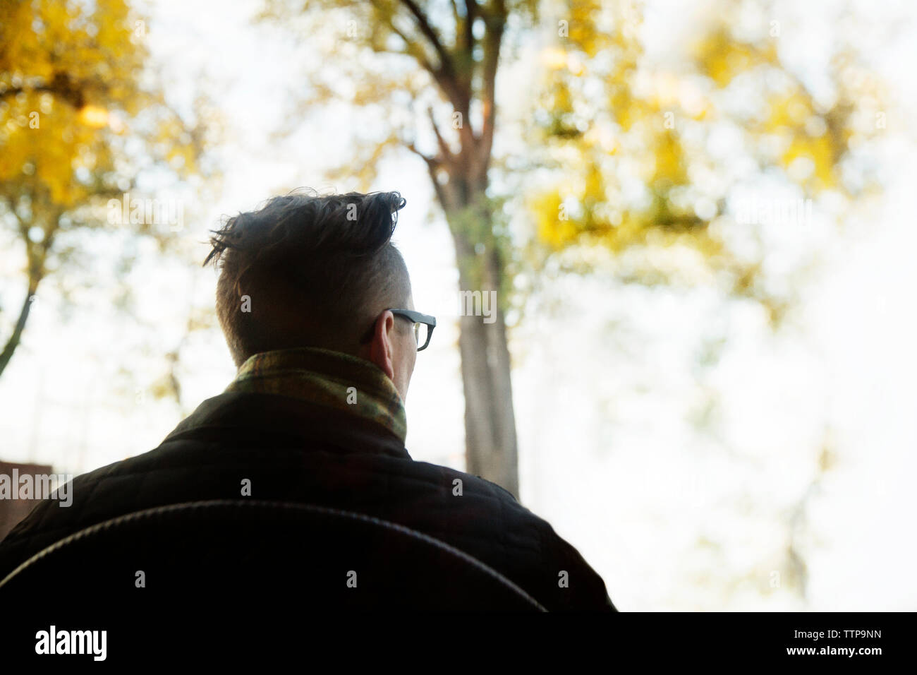 Man Sitting Against Tree Trunk High Resolution Stock Photography and ...