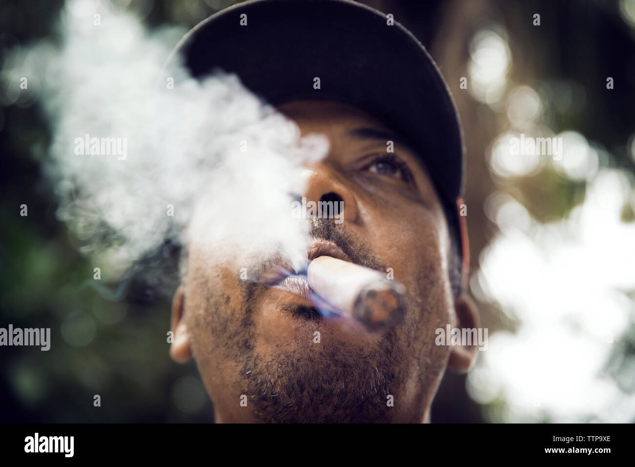 Man smoking cigar hi-res stock photography and images - Alamy